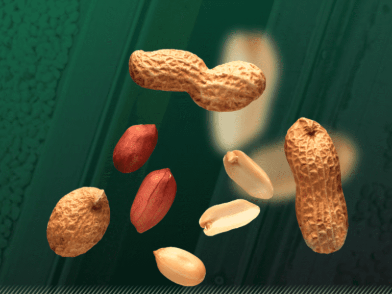 Nuestra Historia | Comasa